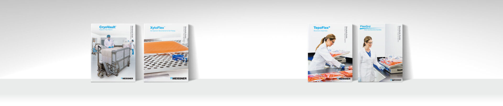 Standards Guides | Meissner Corporation